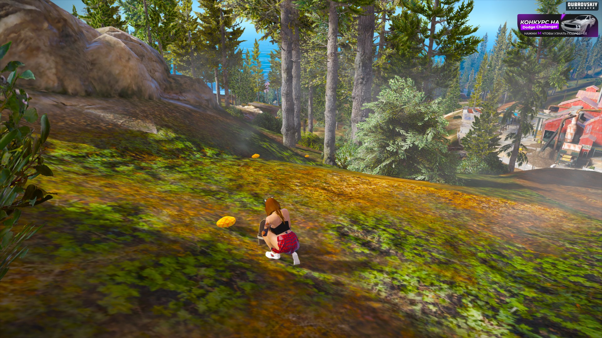 Грибник - DS Project | WIKI DS Project | WIKI